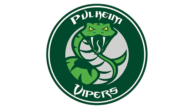 Pulheim Vipers - Roehler - Webdesign Köln / Bonn